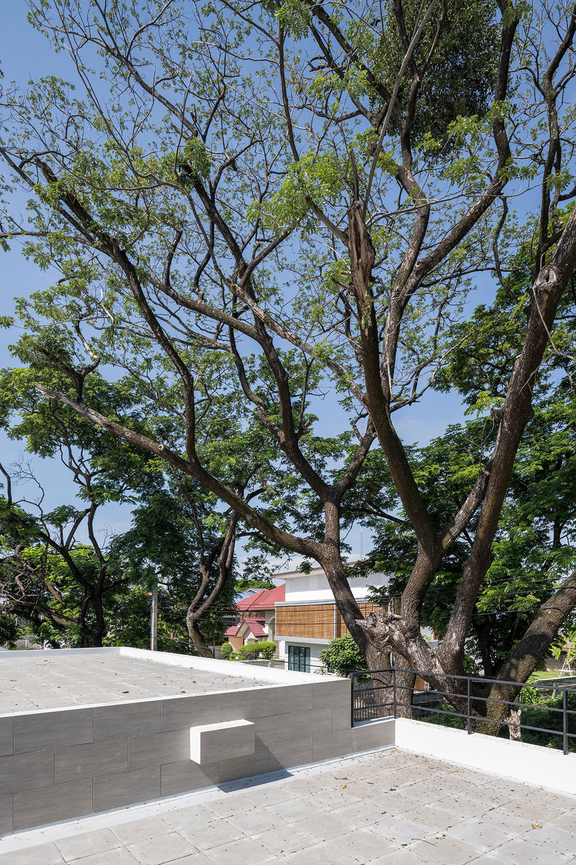 Cool Modern Box House With Rooftop, Harmonious With Green Garden